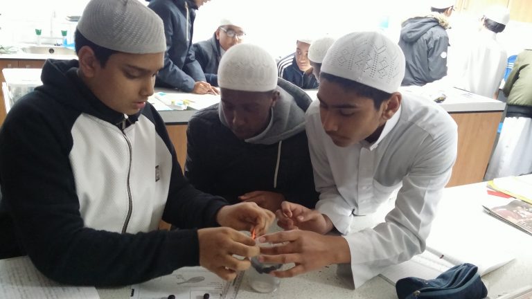 Gallery – HAFS ACADEMY